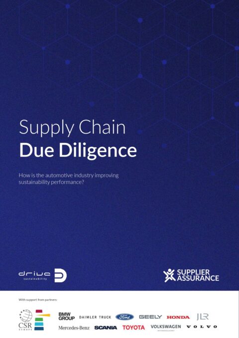 Drive Sustainability Intelligence Report - Drive Sustainability